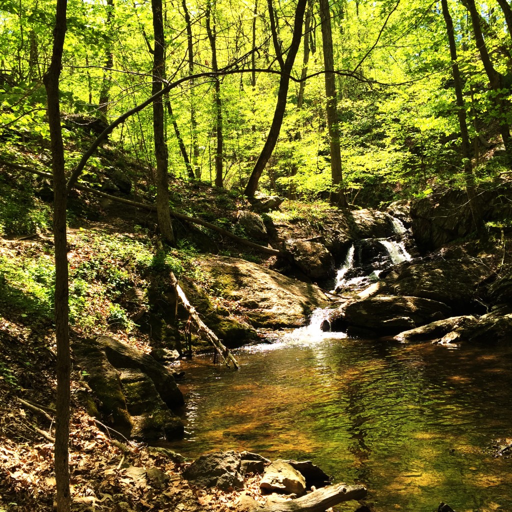 Natural Spaces - Rolling Ridge Study Retreat Community