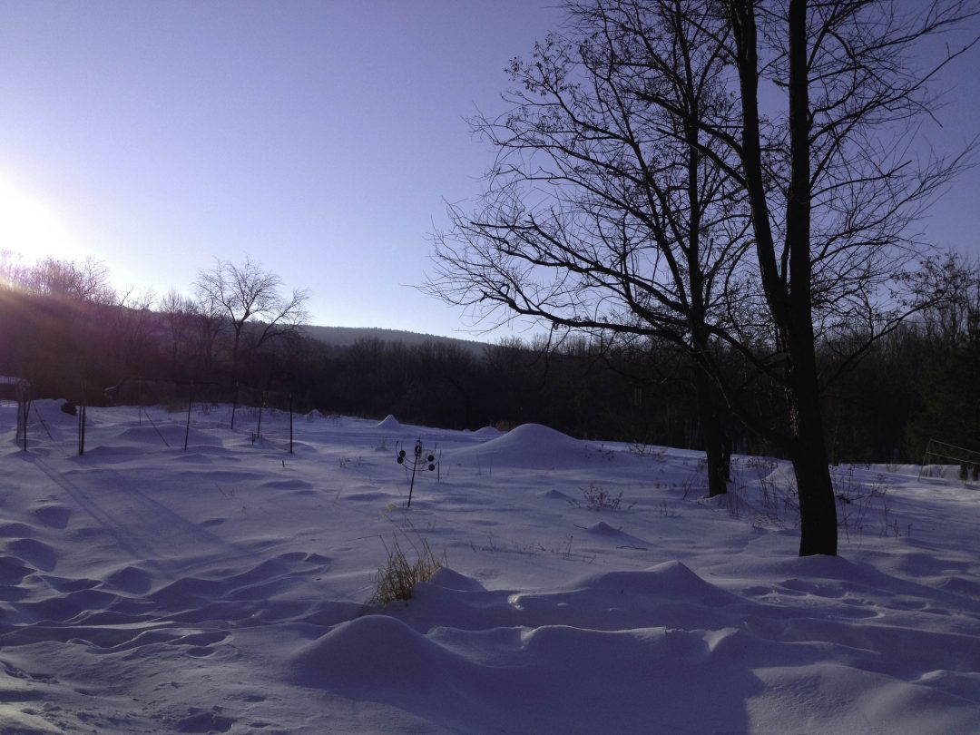 Finding Light in Dark Times: A Meditative Arts Retreat - Rolling Ridge ...