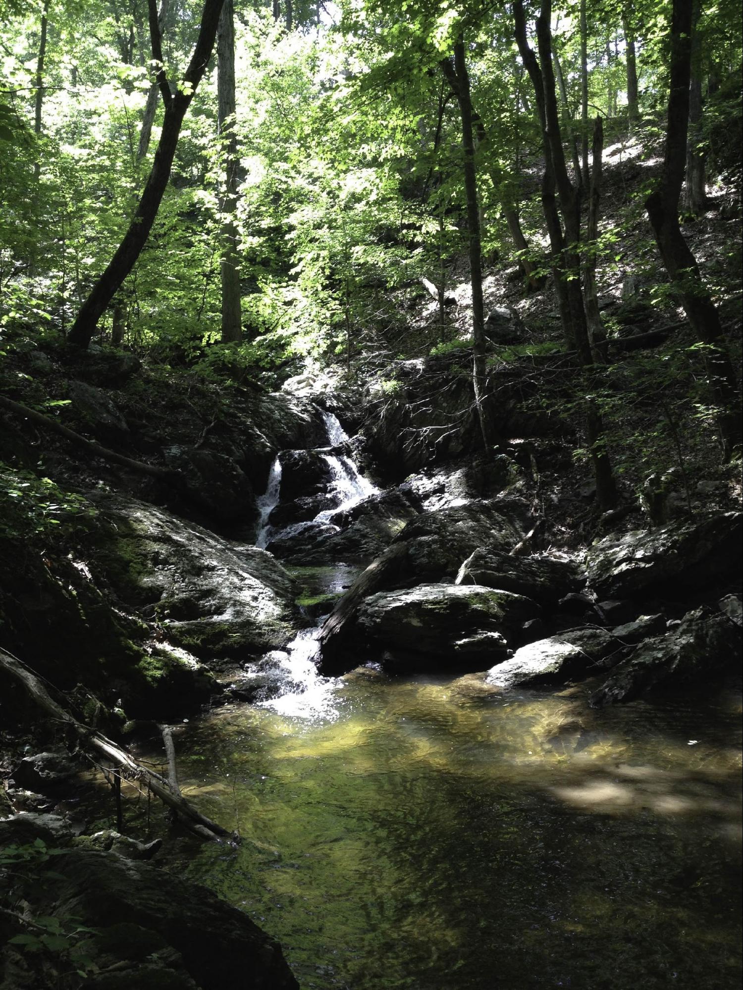 Just for Today: day lily - Rolling Ridge Study Retreat Community