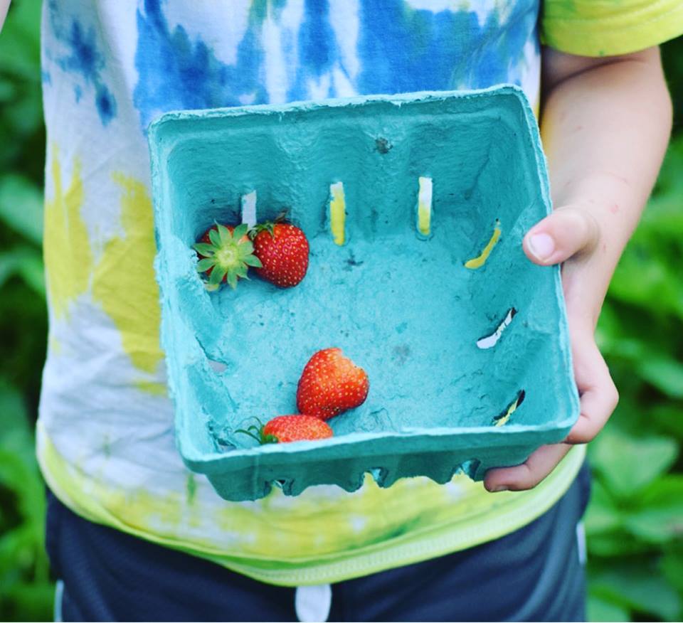 33923593_2123847544515373_53666694400311296_n - Rolling Ridge Study ...